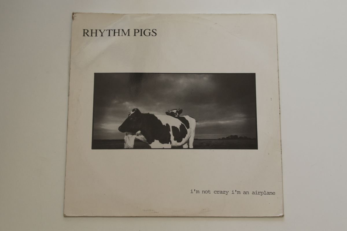 Rhythm Pigs - I'm Not Crazy I'm An Airplane (VG++/VG) - Mr Vinyl