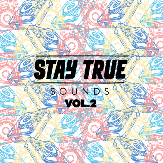Various - Stay True Sounds Vol. 2 (2LP) - Mr Vinyl