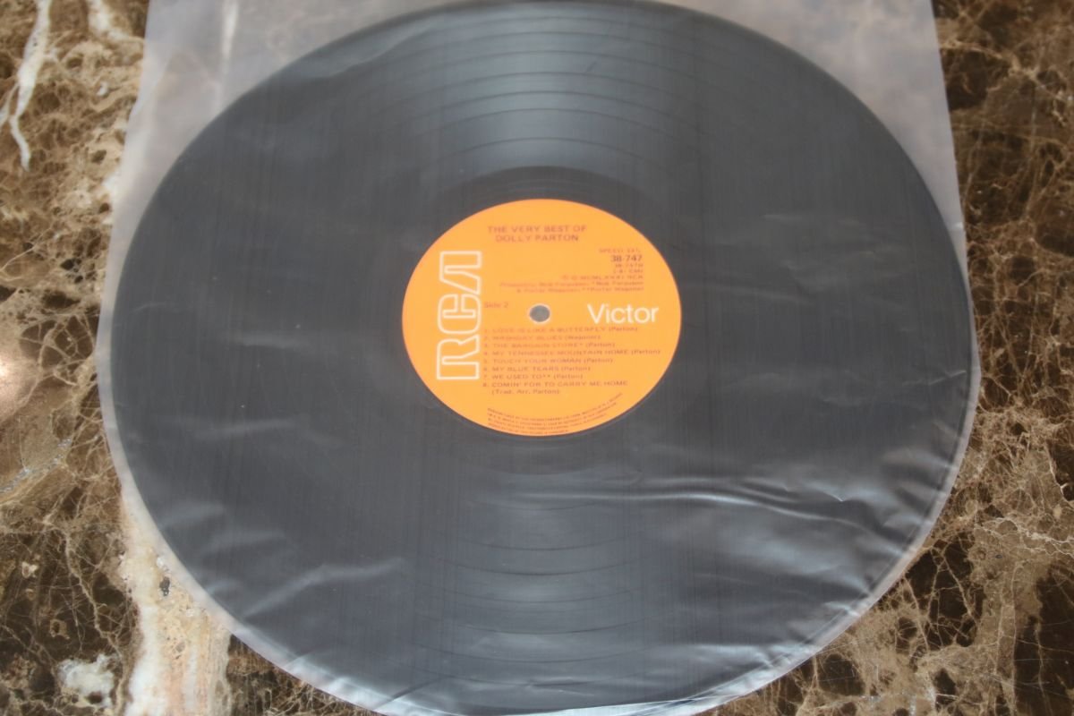 Vinyl Protector Basic Inner Sleeves - Mr Vinyl