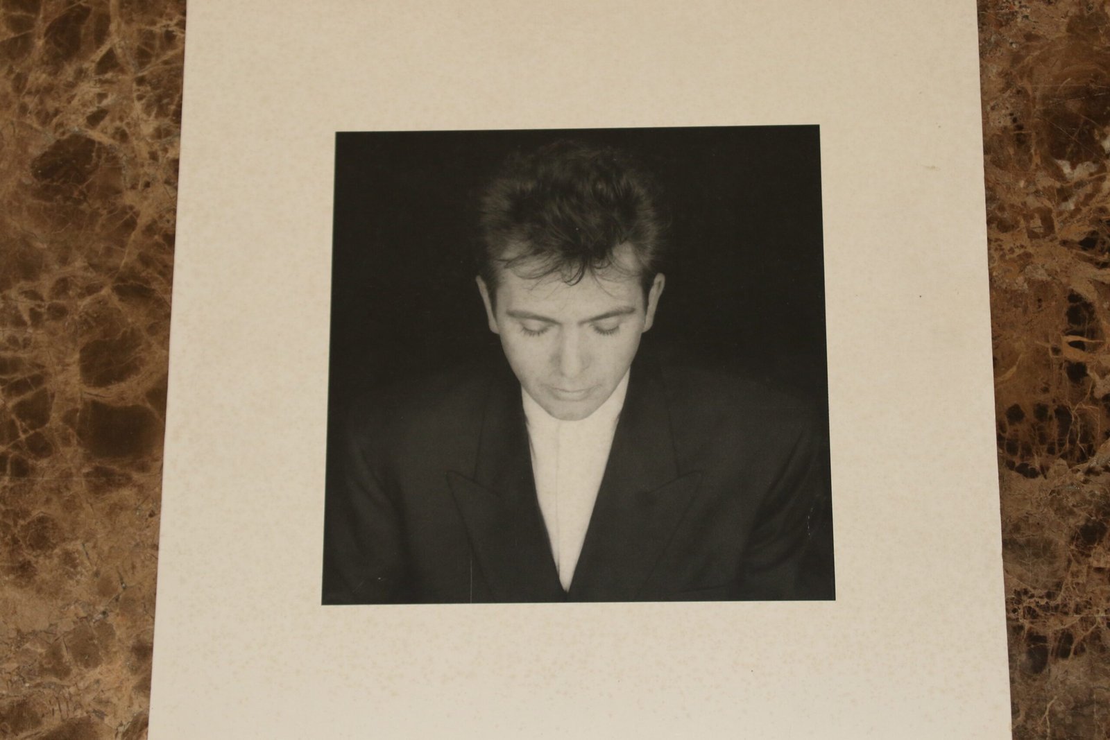 Peter Gabriel - Shaking The Tree (Twelve Golden Greats) (VG) - Mr Vinyl