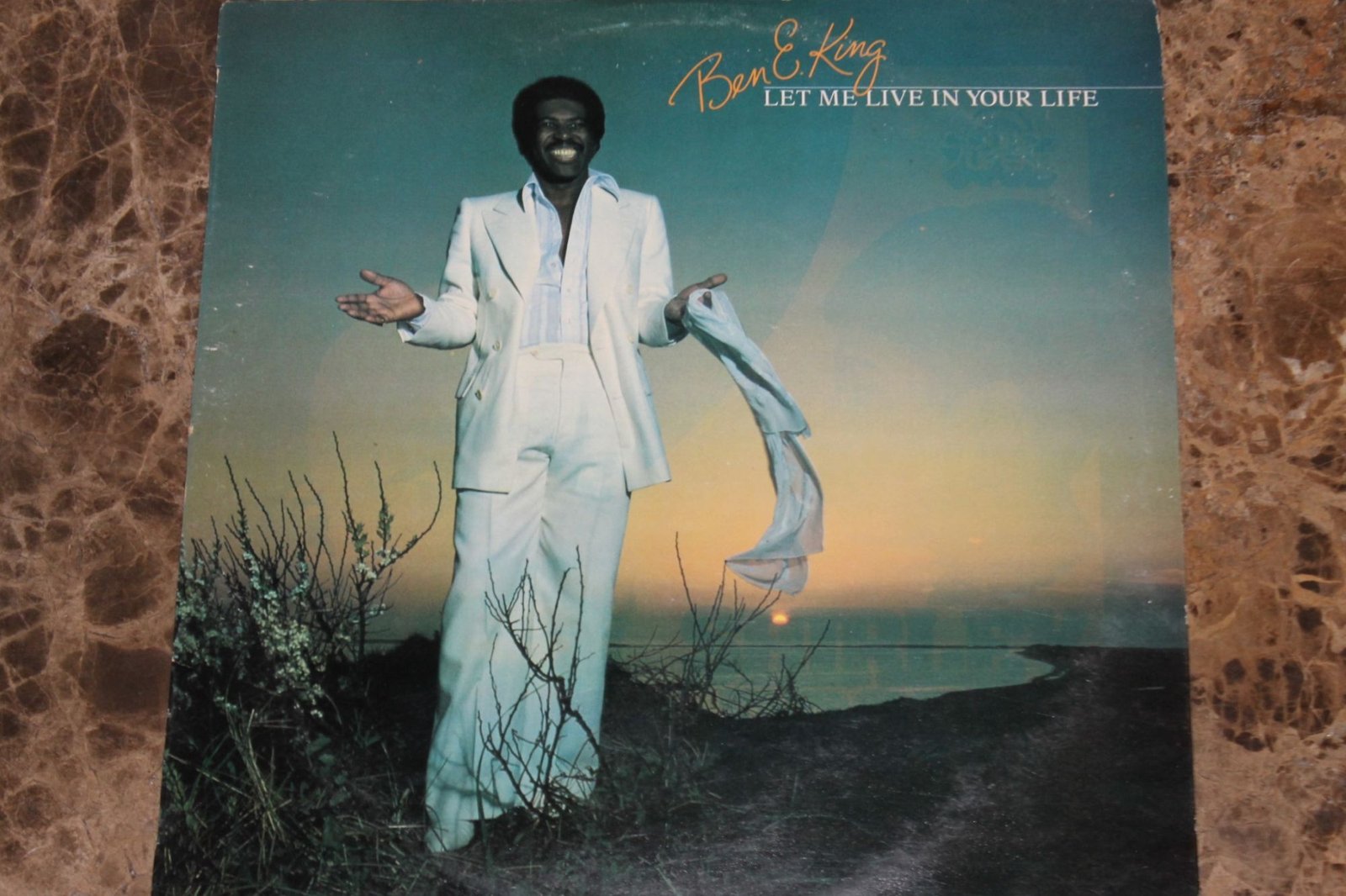 Ben E. King - Let Me Live In Your Life (VG+/VG) - Mr Vinyl