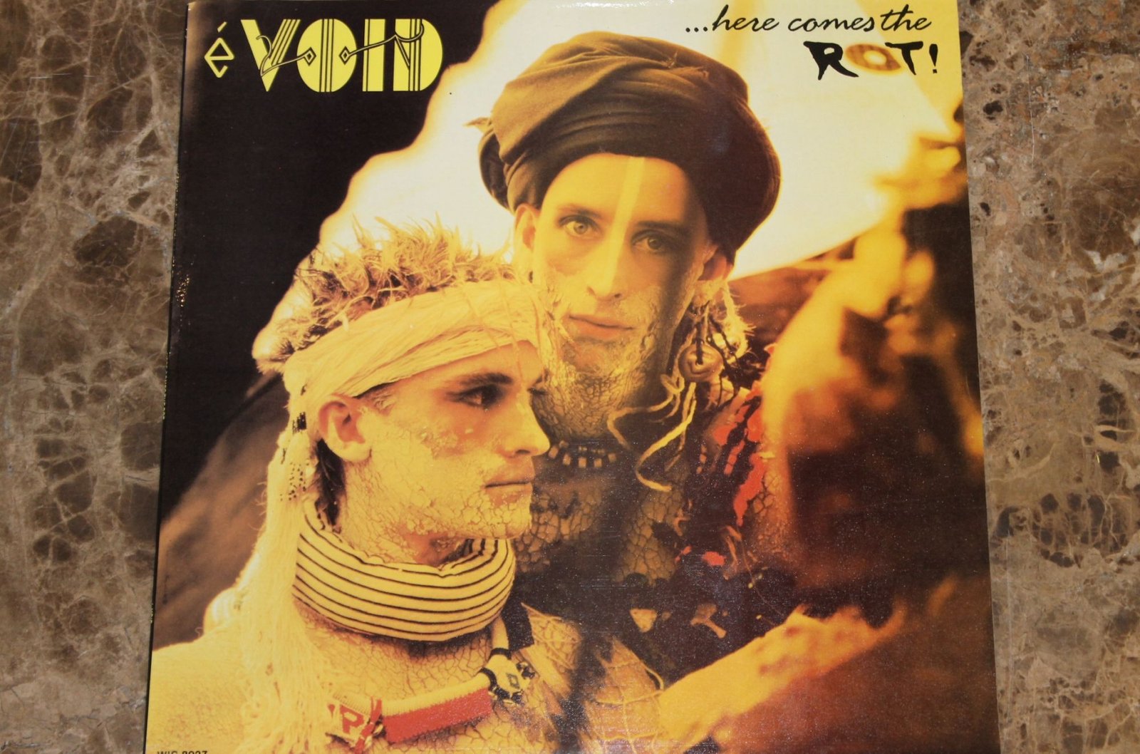 éVoid - ...Here Comes The Rot (VG+) - Mr Vinyl