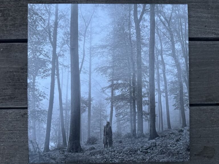 Taylor Swift - Folklore (VG+) (Gold Vinyl) ("In The Trees" Cover) - Mr ...